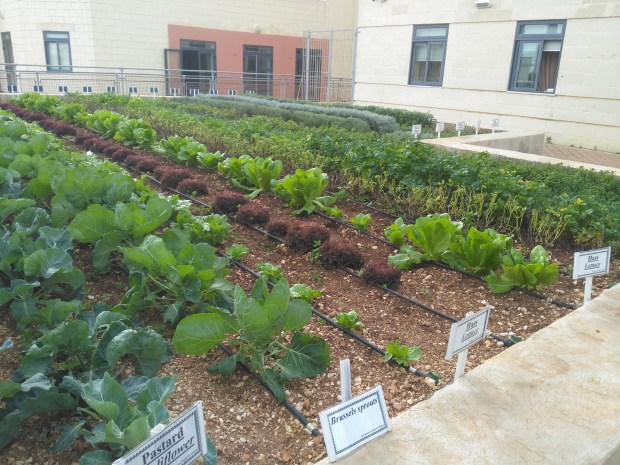 A little green patch – Jeanette Borg