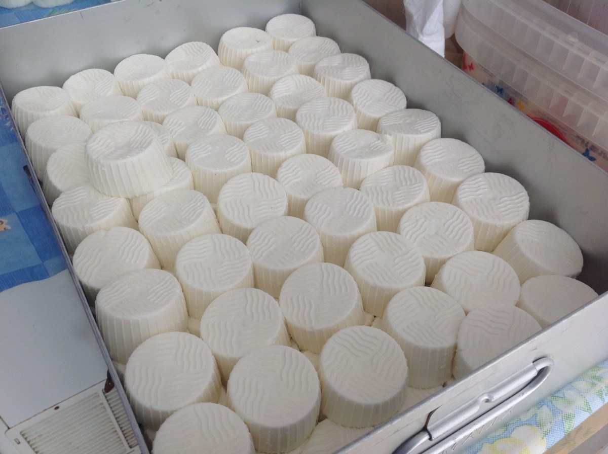 Close, yet so far! – Jeanette Borg