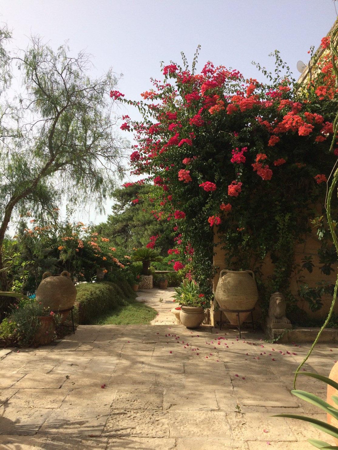 A visit at Maurice Mizzi’s Private Garden – Jeanette Borg