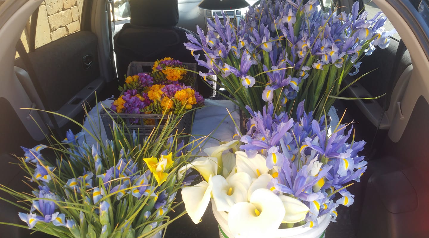 A growing passion for flowers – Jeanette Borg