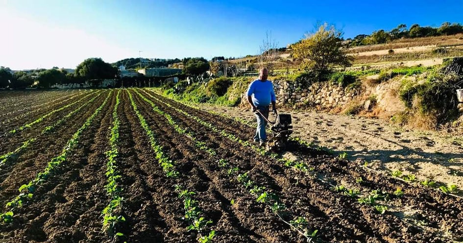 COVID-19 and Maltese agriculture – Jeanette Borg